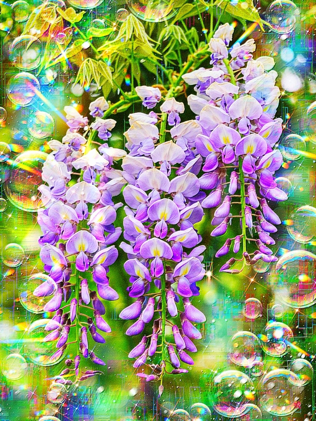 作品: a-2427 霞立つ藤色の庭 Auspicious Spring｜T_GAI(戒)