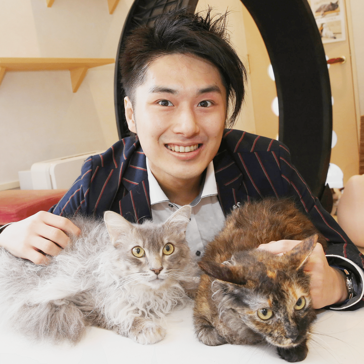 堀内大助（Daisuke Horiuchi）プロフィール｜堀内大助