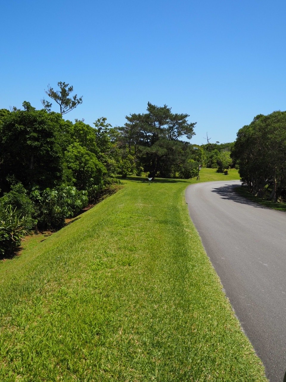 大人ブランコ｜rimoco*rimoco