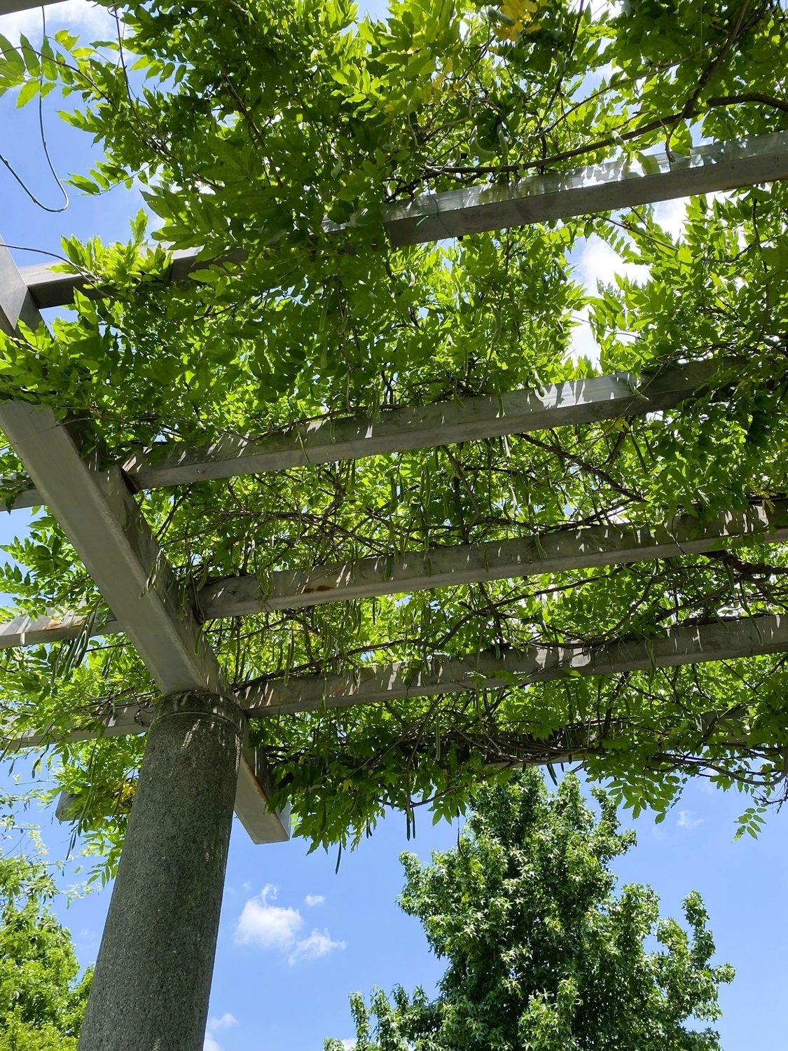 #9 KIZUNA｜NEKO SARU KAZUTO