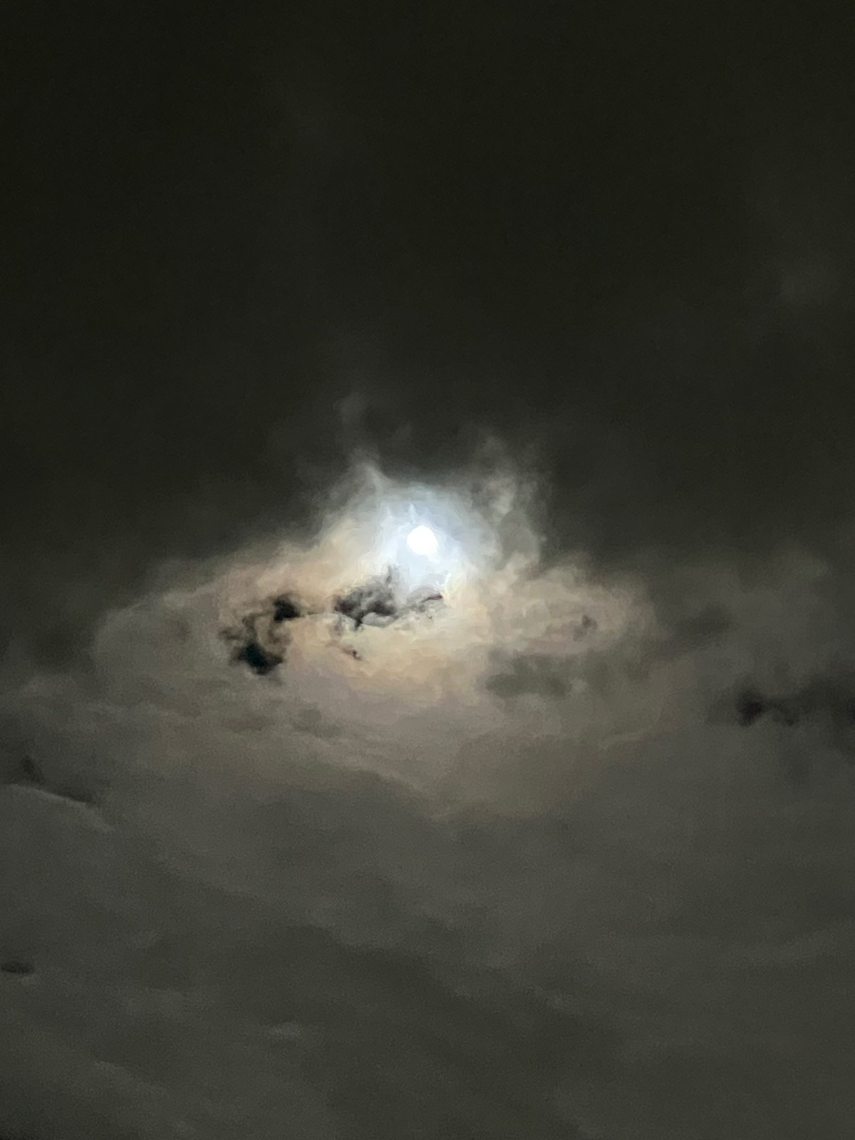 OS Yamatoを触ってもらう 6月の開発予定｜OS Yamato