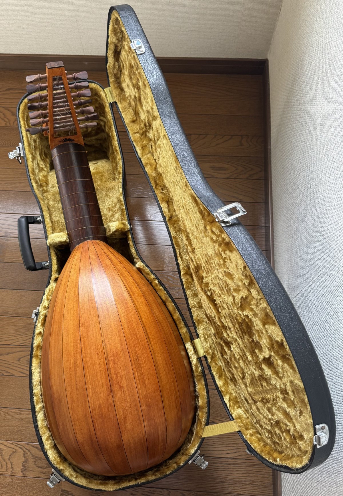 Aria Luteの光と影｜まんぼう