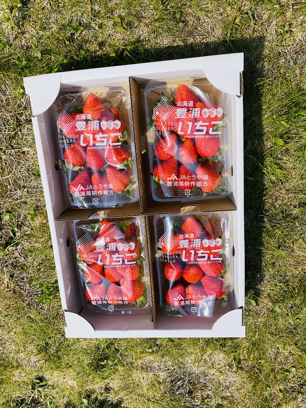 20250601 貴重ないちご‥‥大事に食べよう‥‥！｜ぽてと＃