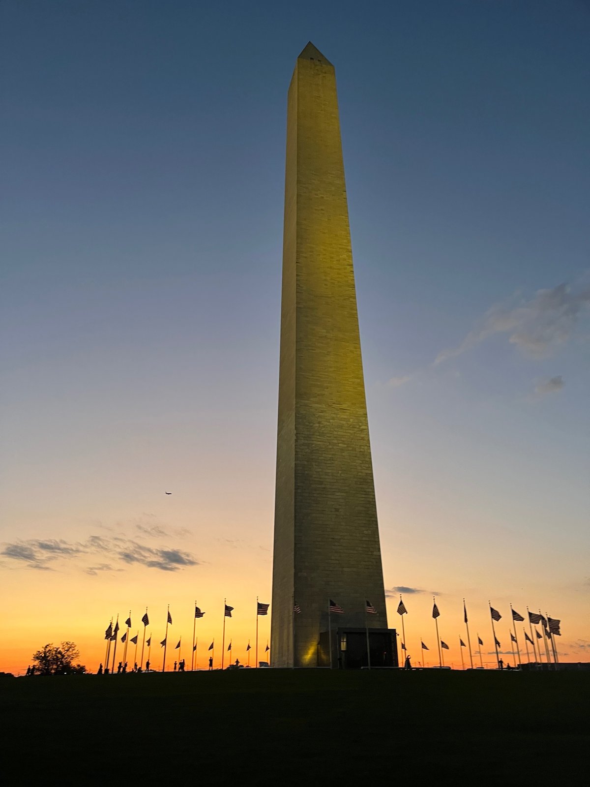 汚い街にこそ生きている証がある？—— 「清潔さ」にひそむ権力について——｜Yujiro Maeda（前田 悠士朗）