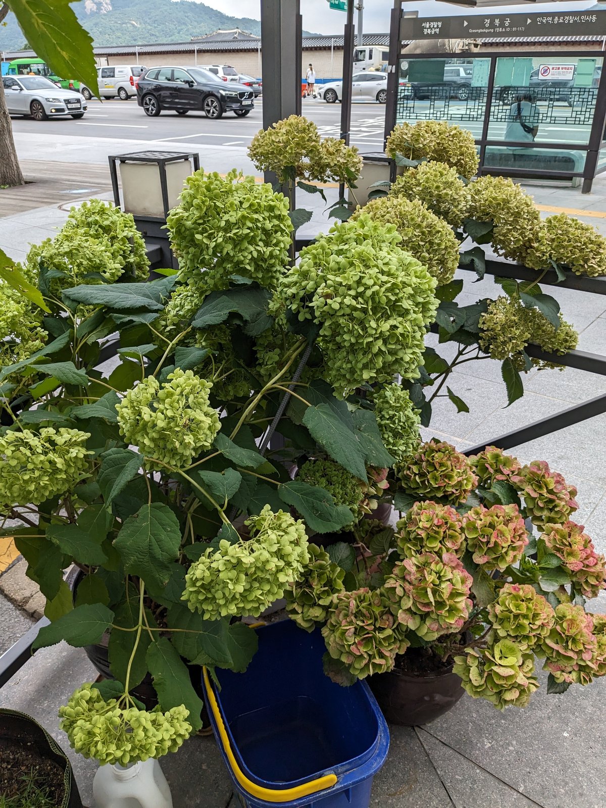 自分を整えるとは、揺らいでも〇〇を知っていること｜YUI-KICHI★