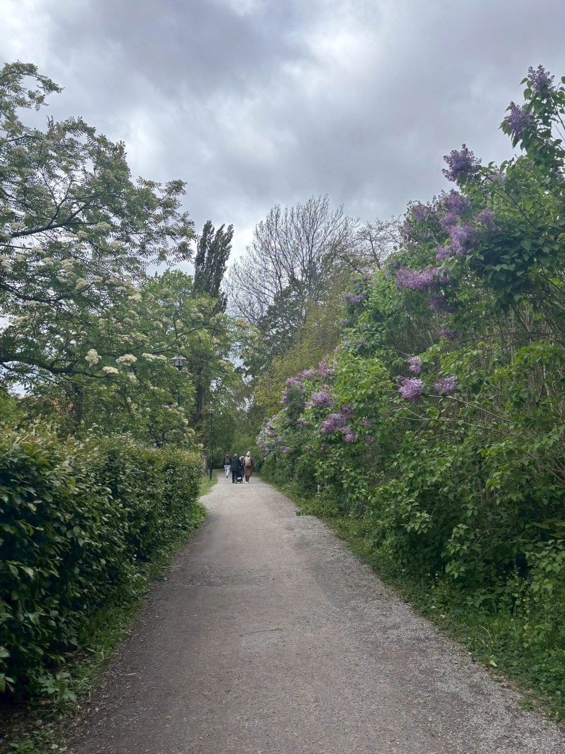 車いすおばあちゃんストックホルム便り#19｜tatu-kuu（車いすおばあちゃん）