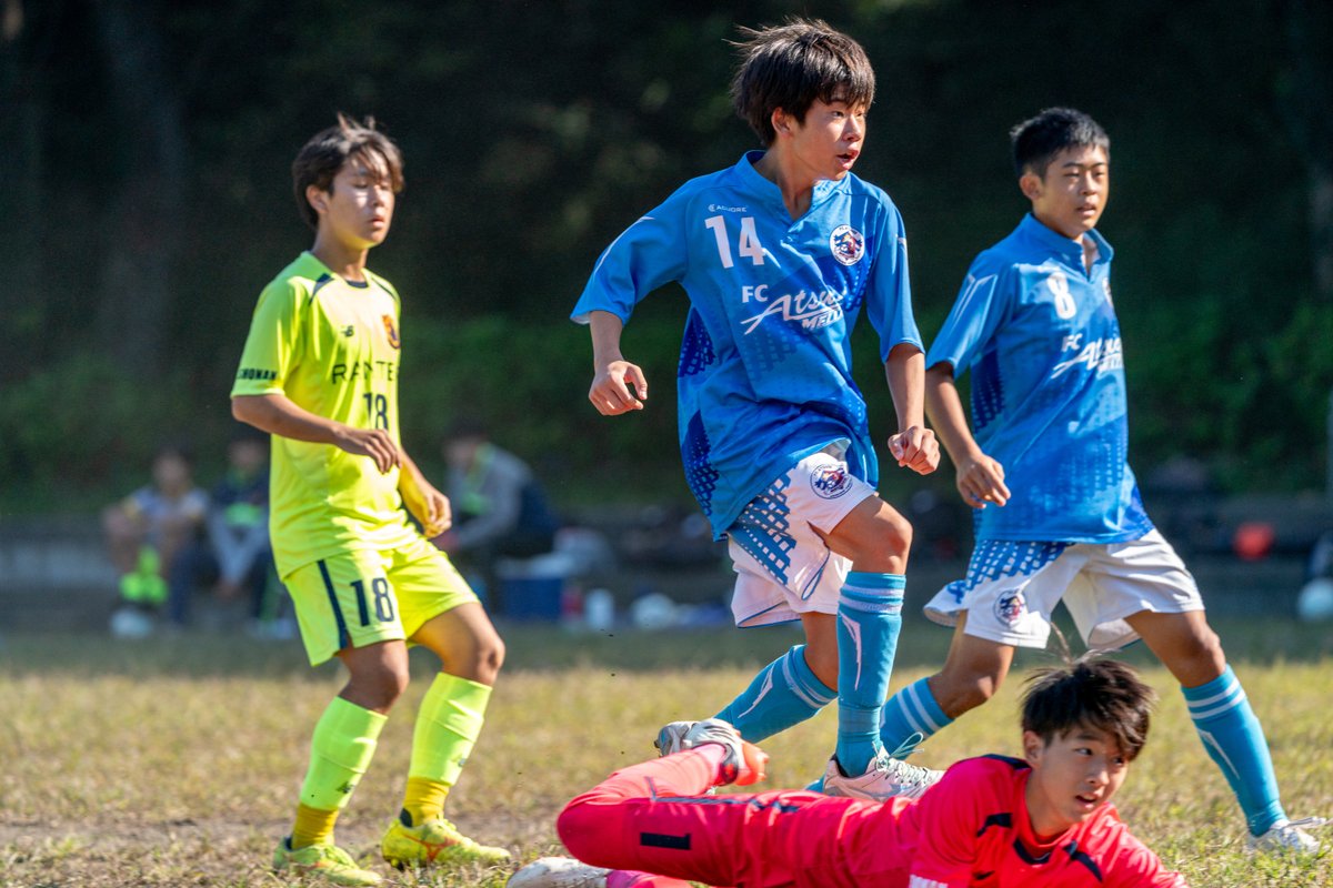 SONY FE 200-600mm F5.6-F6.3 G OSS 長期使用レビュー｜Junichi Fukuda