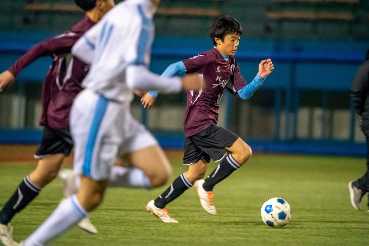 SONY FE 200-600mm F5.6-F6.3 G OSS 長期使用レビュー｜Junichi Fukuda