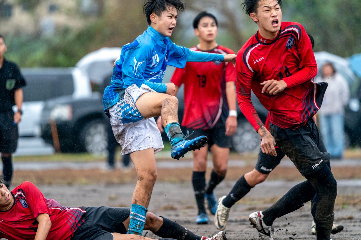 SONY FE 200-600mm F5.6-F6.3 G OSS 長期使用レビュー｜Junichi Fukuda