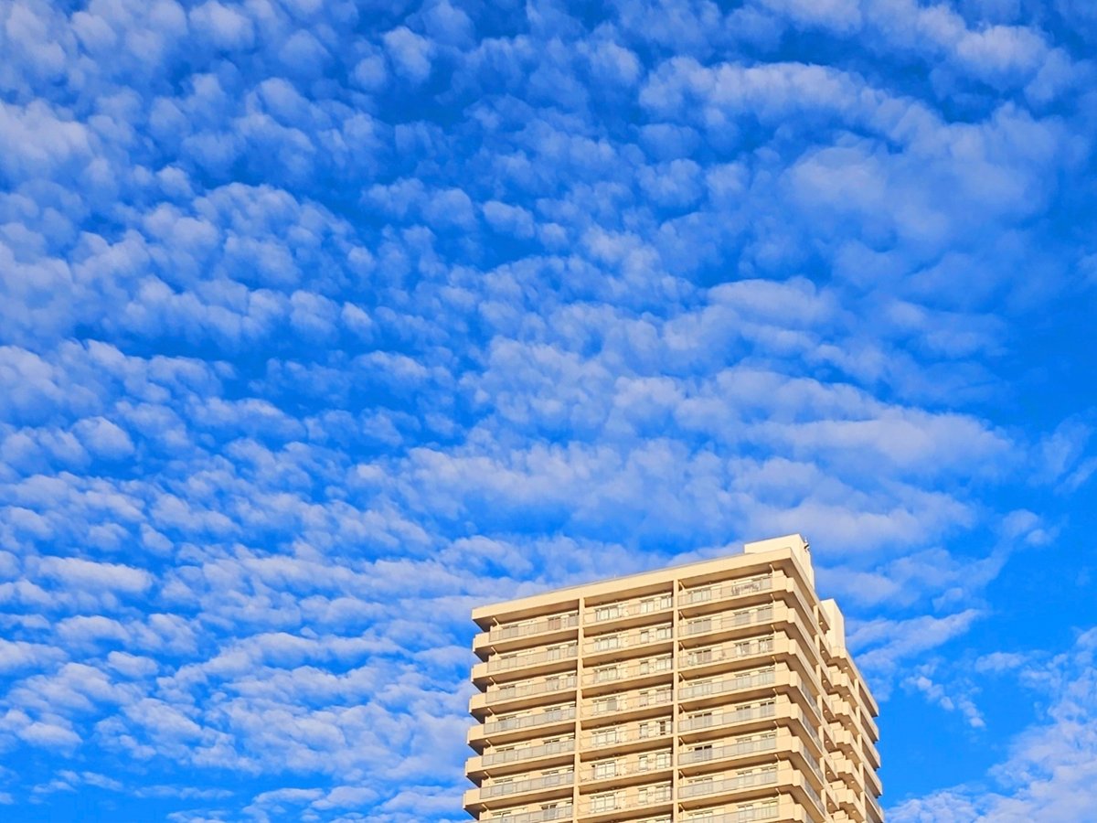 NSP 君と歩いてみたくて｜otomi320