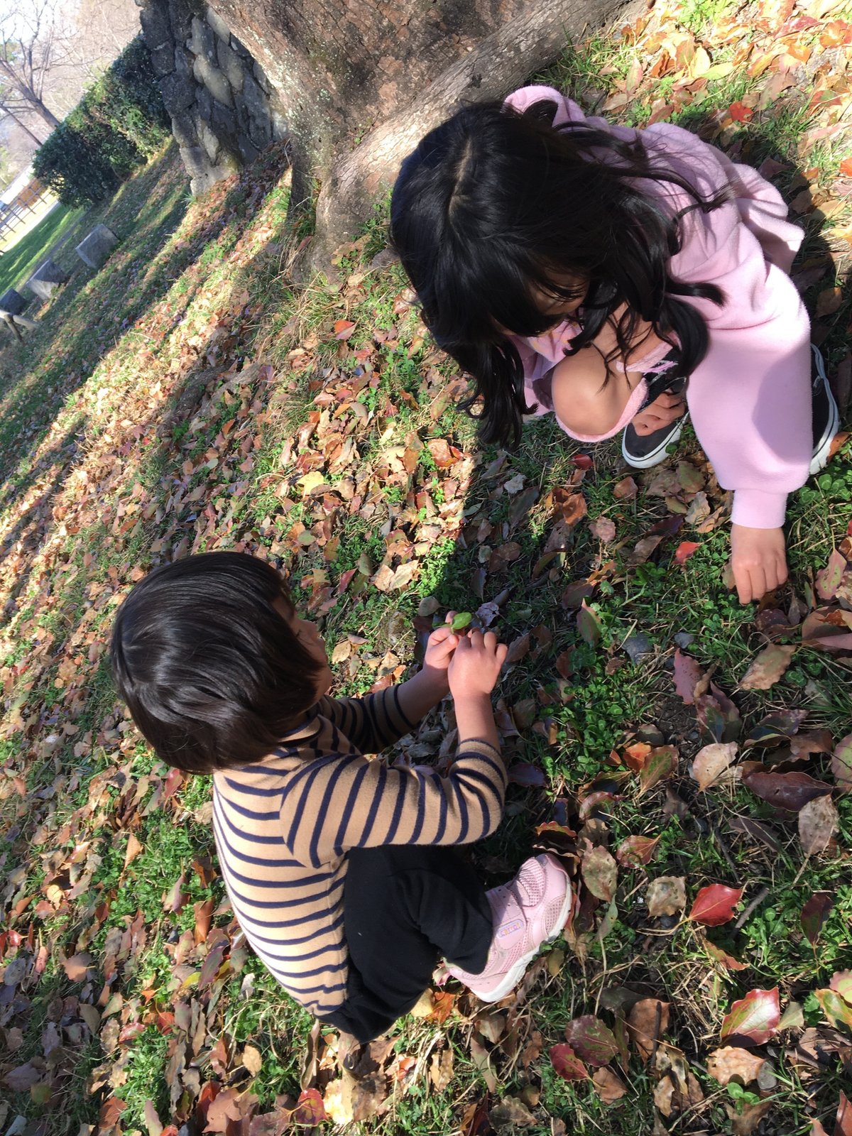 自分を整えるとは、揺らいでも〇〇を知っていること｜YUI-KICHI★