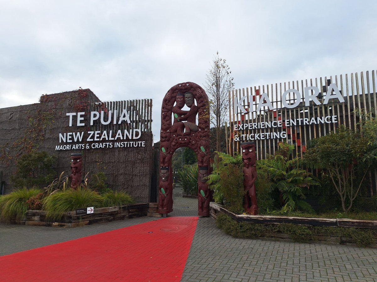 ロトルア旅 🇳🇿：Te Puia: 地球の神秘を体感しました。｜𝐊𝐄𝐍 𝐒𝐊𝐘𝐖𝐀𝐋𝐊𝐄𝐑