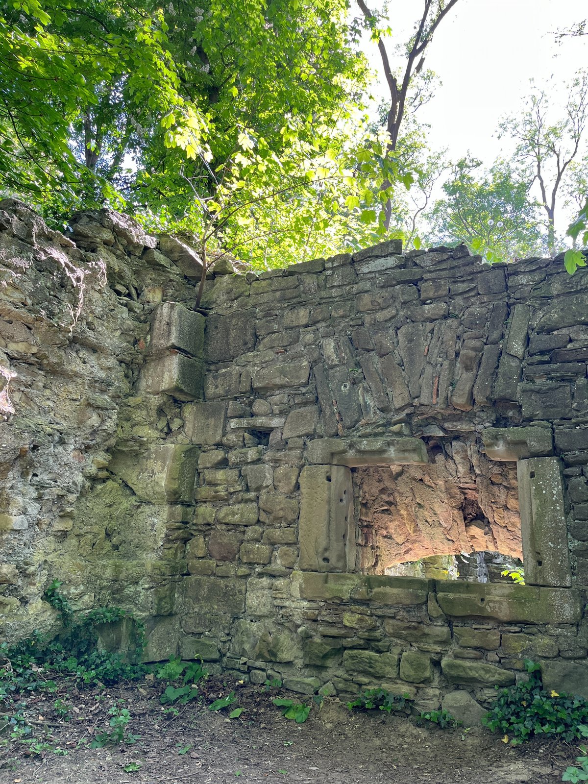 聖ヒルデガルドの旅②｜TERRA-SACHI