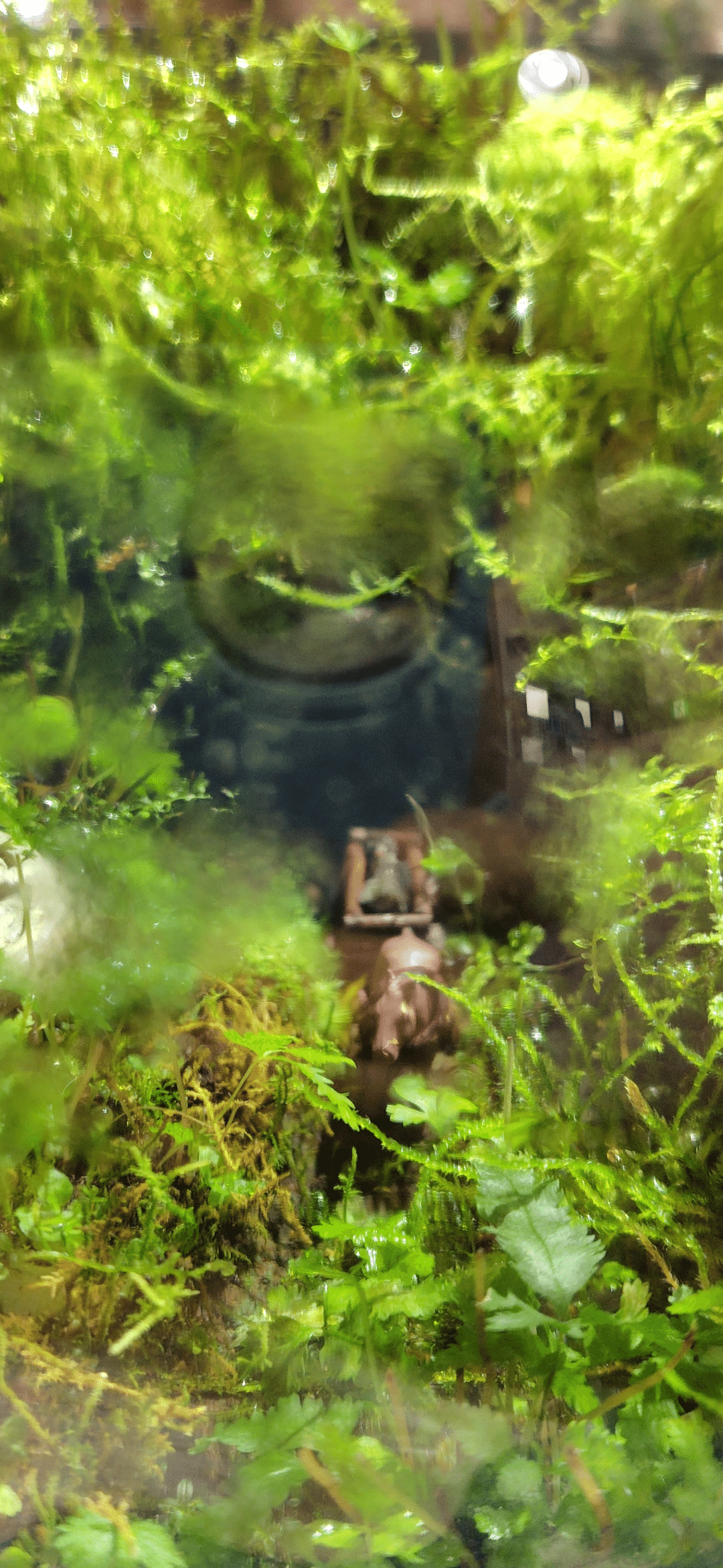 田舎列車でGO！｜deepblue