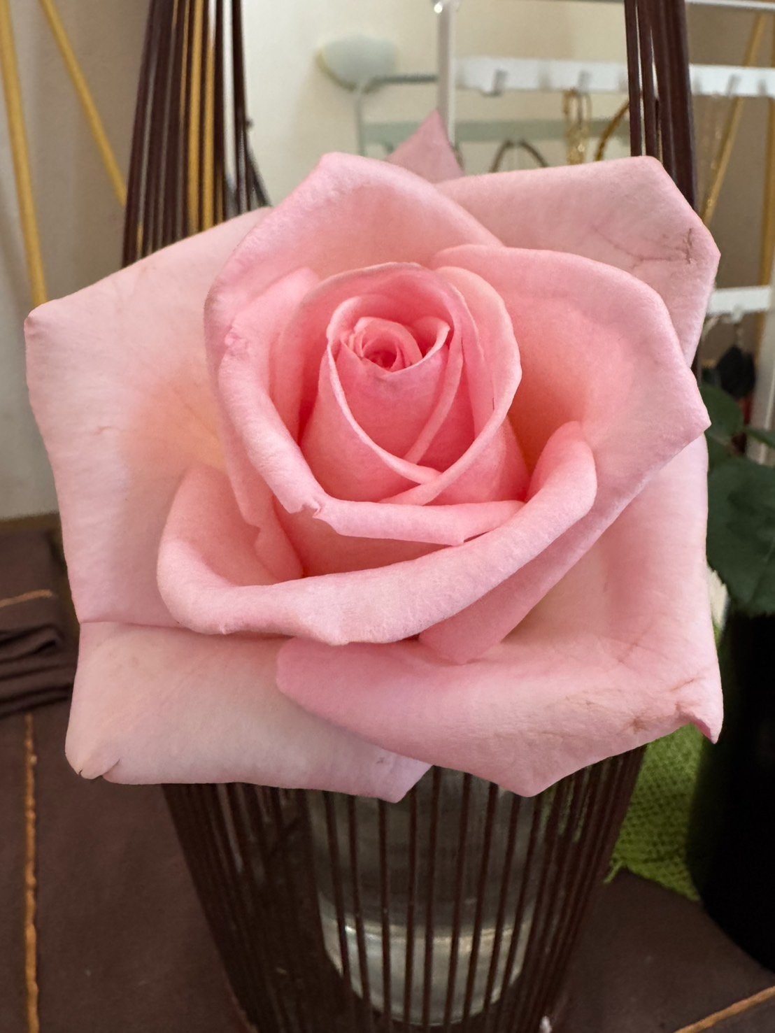 🐹🌹もちmochi、note自己紹介とサイトマップを作成！人気記事のお願いランキングつくったよ🌹🐹更に読みやすくなりました！たくさんのコメント有難う御座います！🍚🍙🌹🐹｜もち mochi©️ 🐹🌹♡+