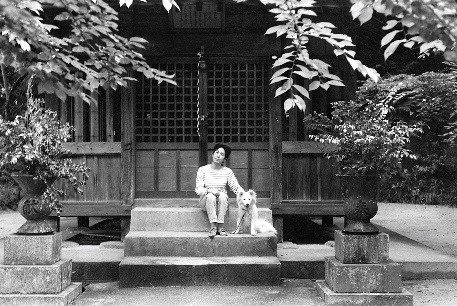 写真「With The Dogs」 ハイ 一枚｜Rabi Sato