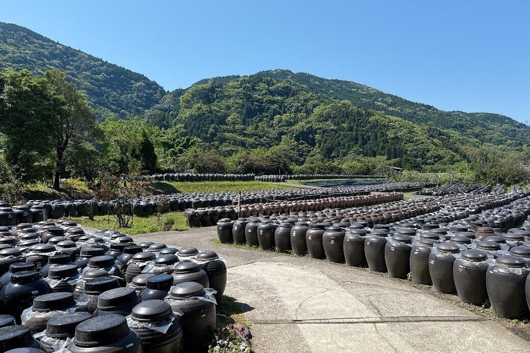 直営店で出来立てをいただく特別感！夏を楽しむ南九州のクラフトビール3選｜Hugmeg公式note