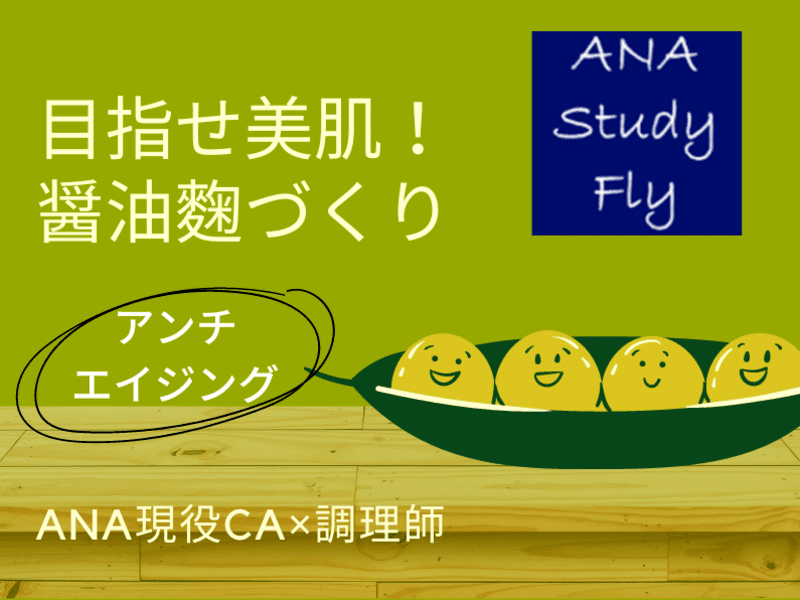 ANA Study Flyの6月おすすめの講座3選 ｜ANA Study Fly【公式】