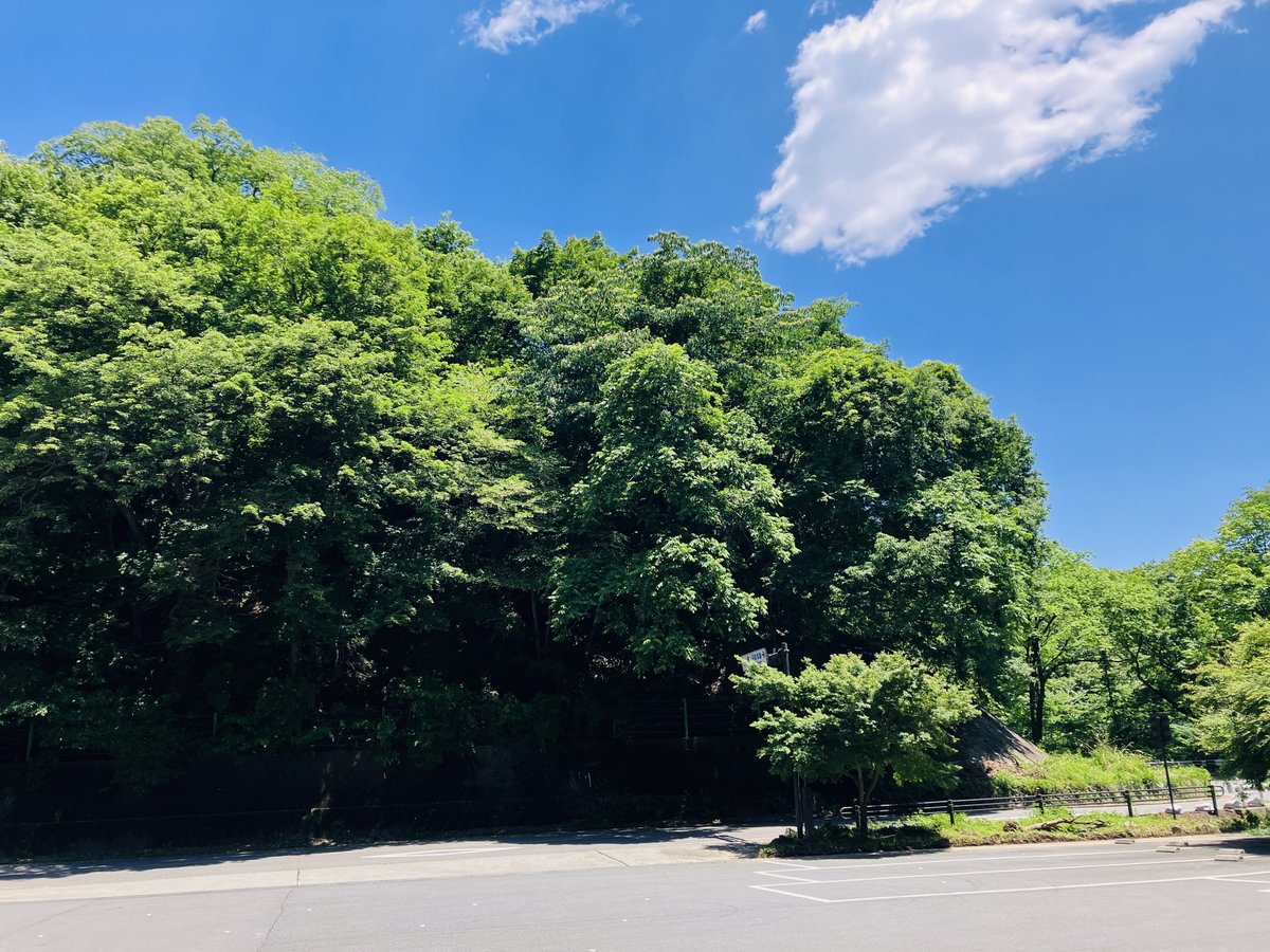 仏の笑顔でCQを叫ぶ鬼 #20250605｜SUUA-SAN