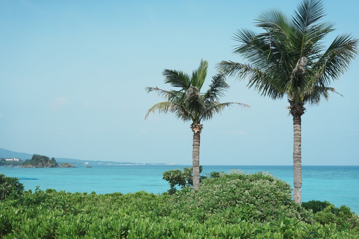 沖縄の魅力をSNSで発信する理由 〜来たくても来られない誰かのために〜｜Yuichi | 沖縄の魅力を世界へ