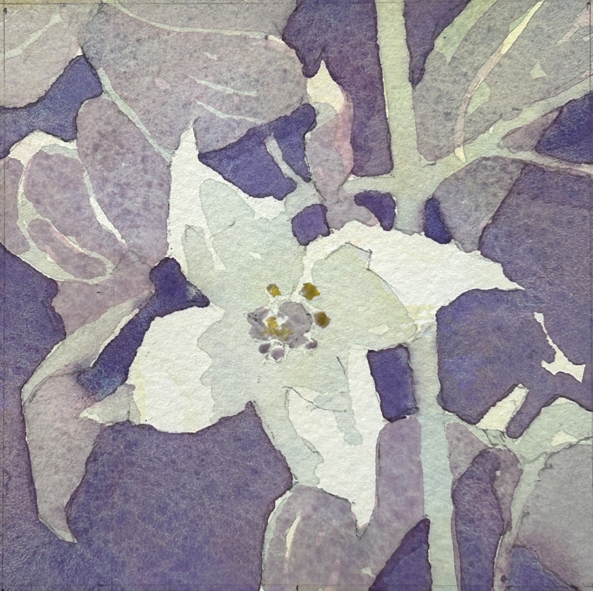 教室のこと 梅雨の扉・夕暮｜atelier_Rio