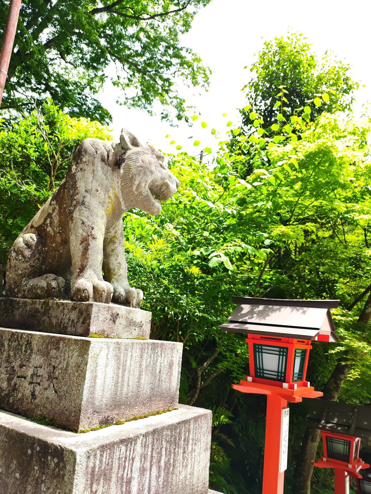 夏？！｜私の手作りiroiro