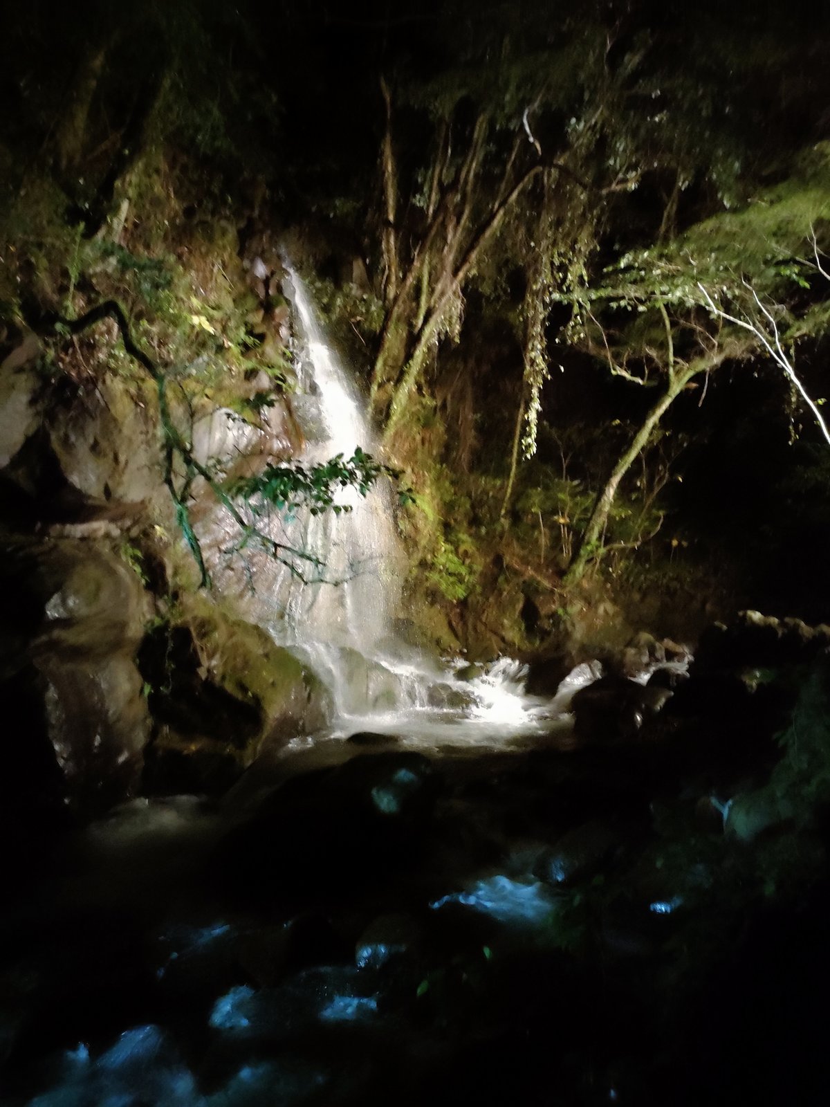 湯河原の惣湯テラスは大人のお籠りに最適でした｜ふたつき