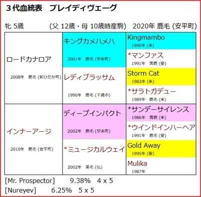 【2025 安田記念（G1）】～予想篇｜Haya