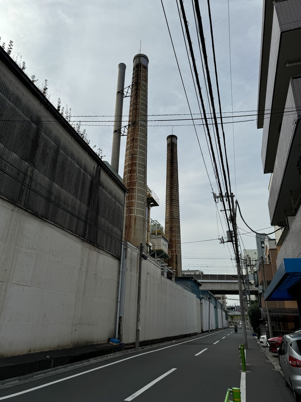 「デザイナーとして雇えない」と言われた日〜でも、それは終わりじゃなかった⑳｜kkkiii