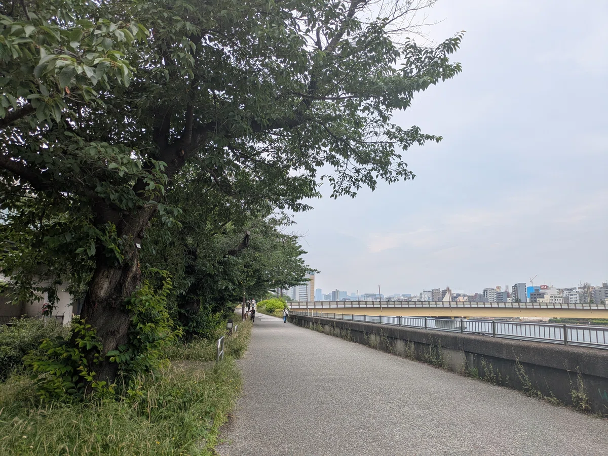 [Run in Japan🏃‍♀️] Tokyo Skytree & the Sumida River Terrace ｜~Run With ...