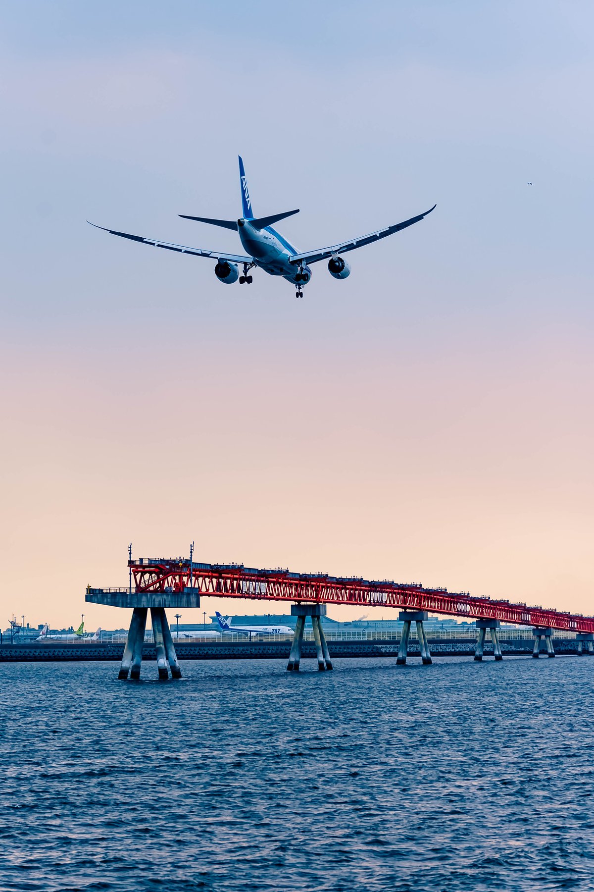 【52weeks投稿企画】私の推し飛行機はB787 ー10/52｜nasujin