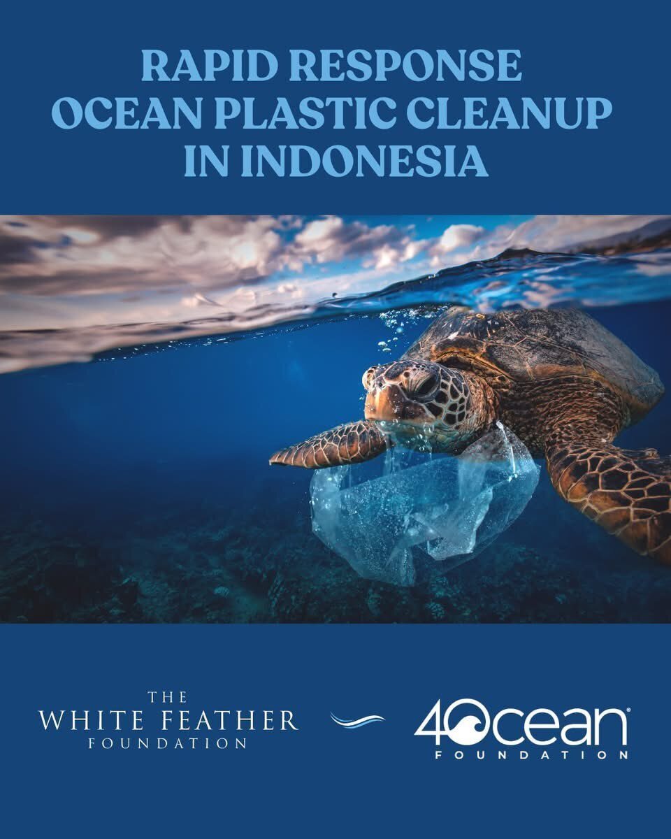 JulianLennonより4ocean Foundation｜naho-21