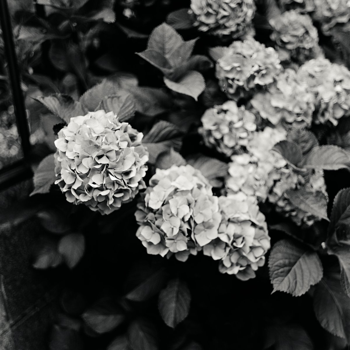 フィルム撮影のトラブル対応あれこれ｜Motoki Endo