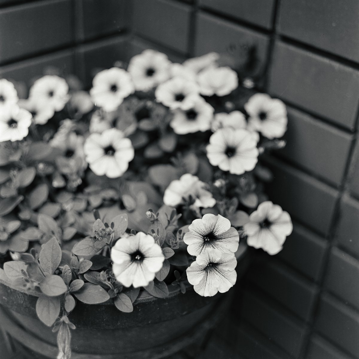 フィルム撮影のトラブル対応あれこれ｜Motoki Endo