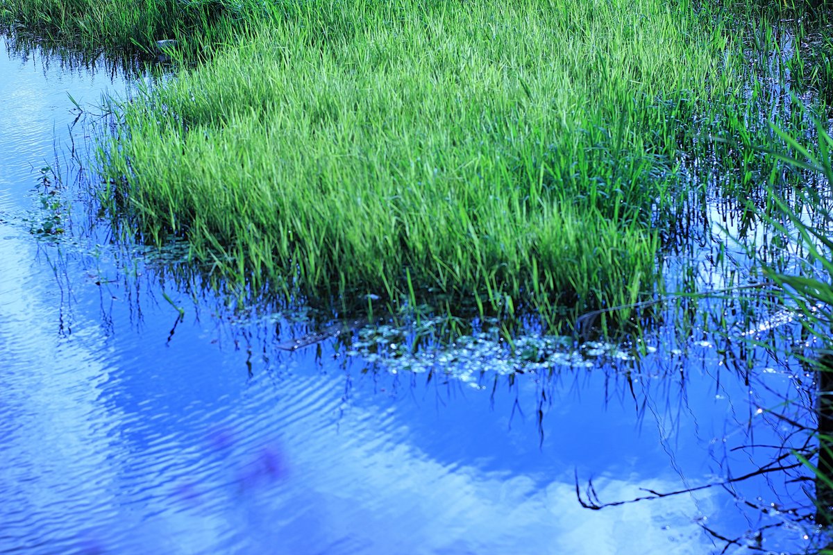 映画のような日常｜徳久 望/Nozomi Tokuhisa