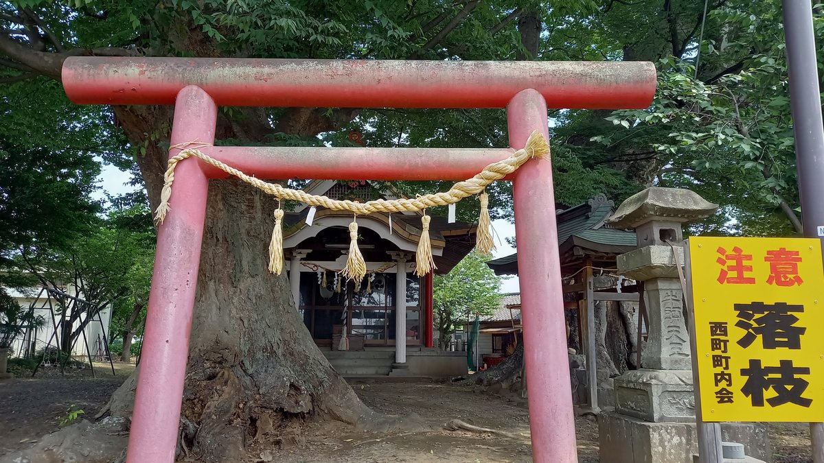 歴史Think（れきしんく）No.7｜筑波烈士