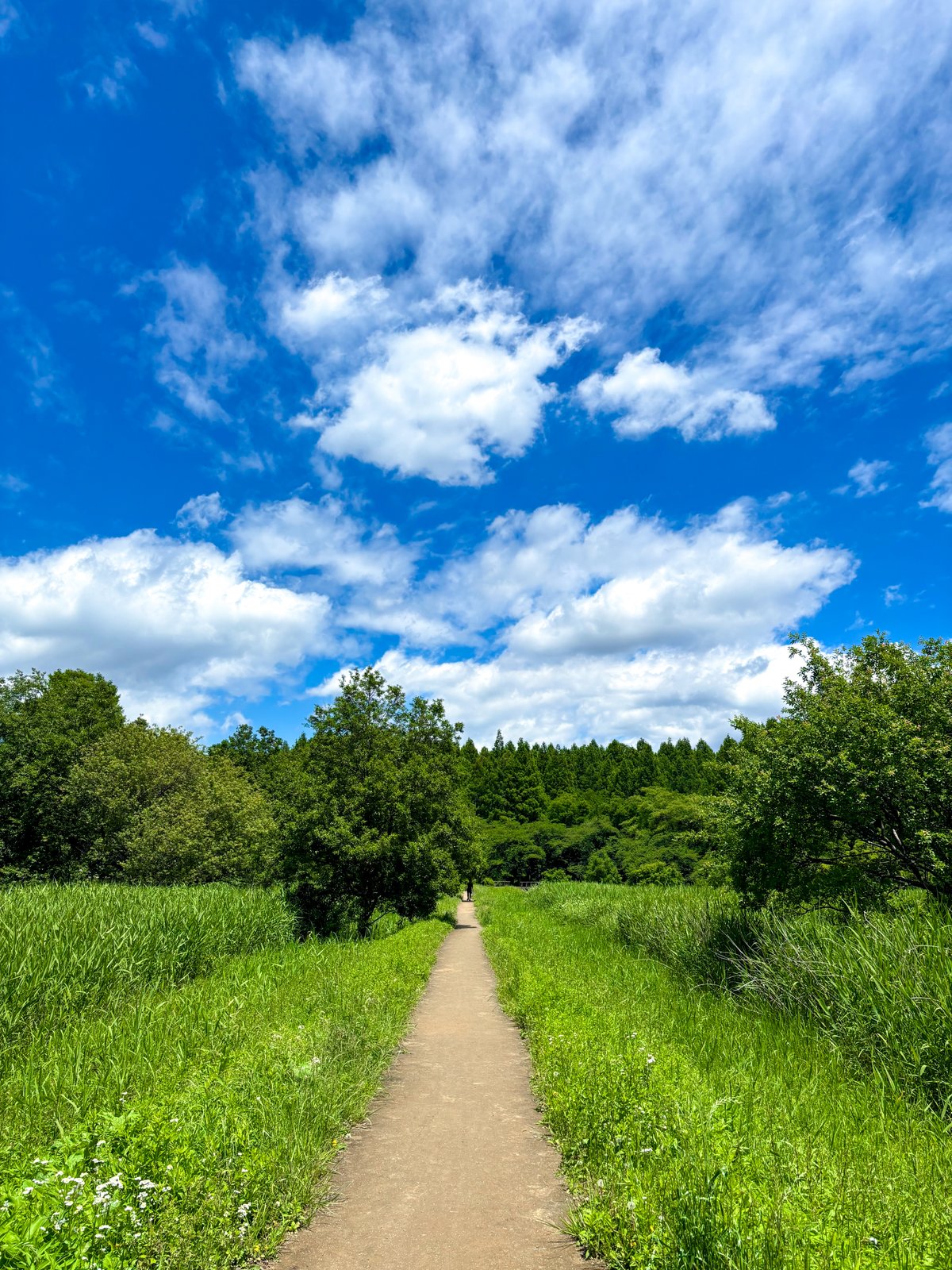 君は風｜詩｜rira