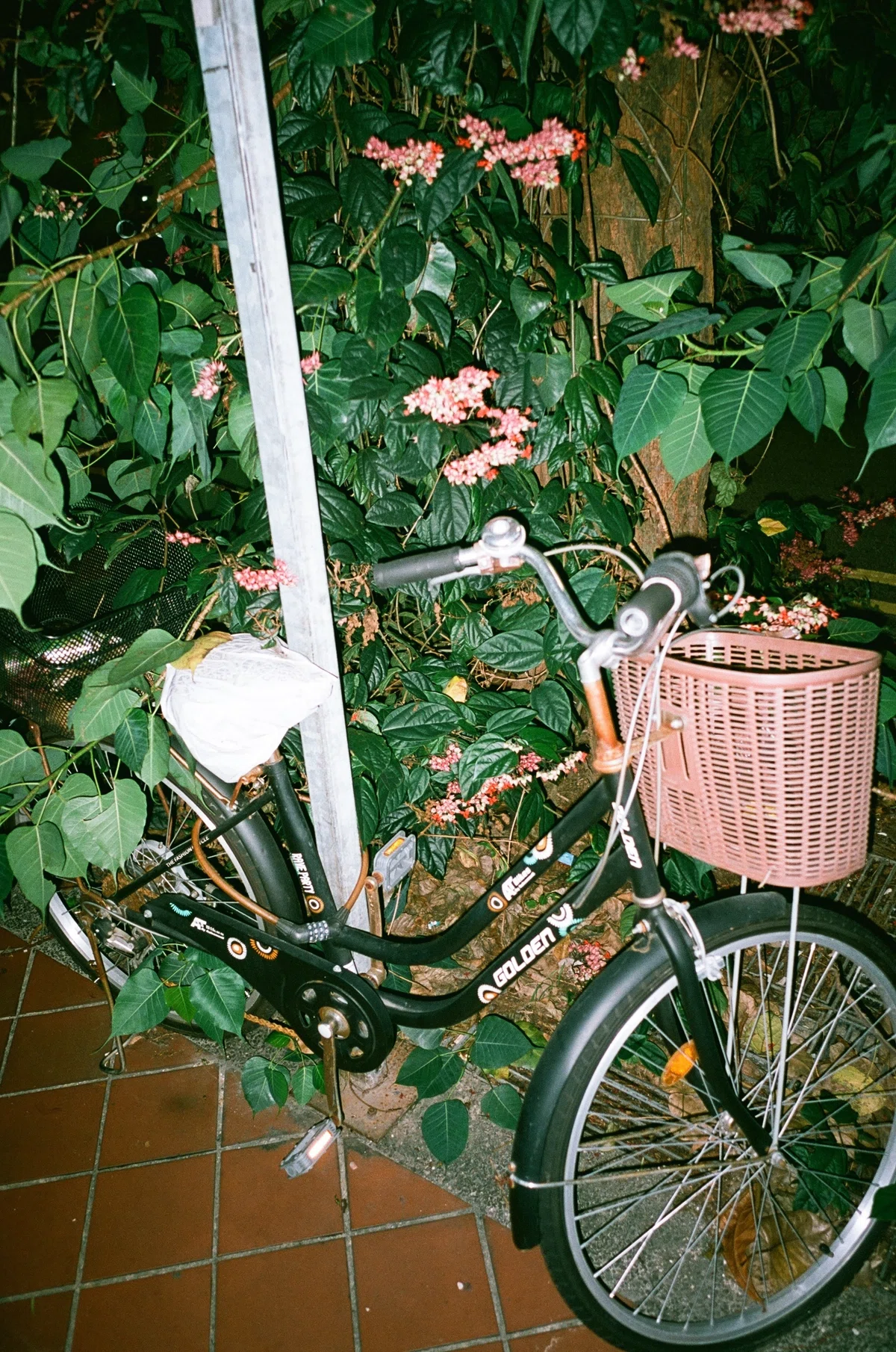 Alien Film Aeronega 100(Kodak Aerocolor IV 2460)+RICHO GR10(GR LENS ...