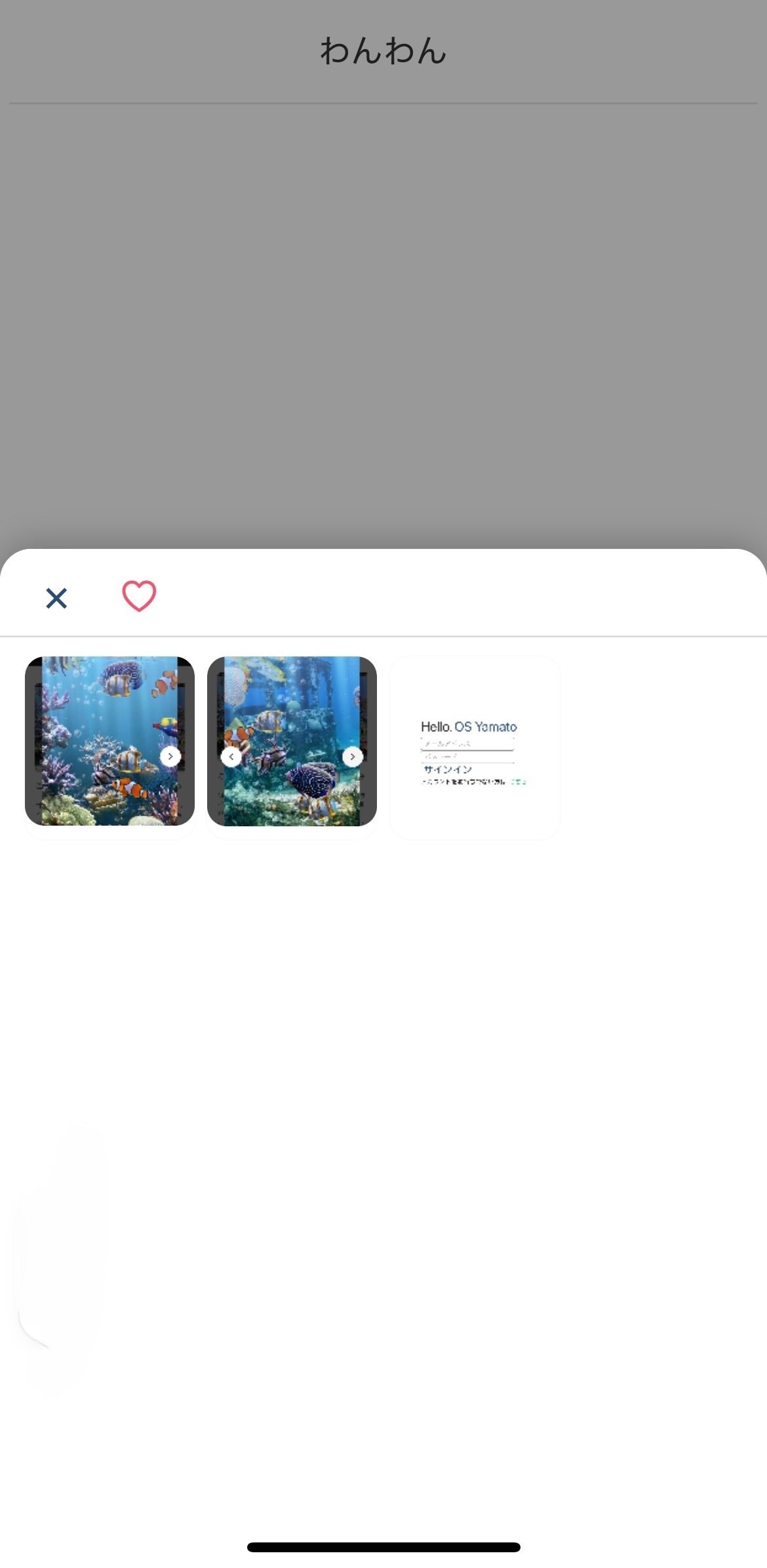 メッセージで写真を送る OS Yamato｜OS Yamato