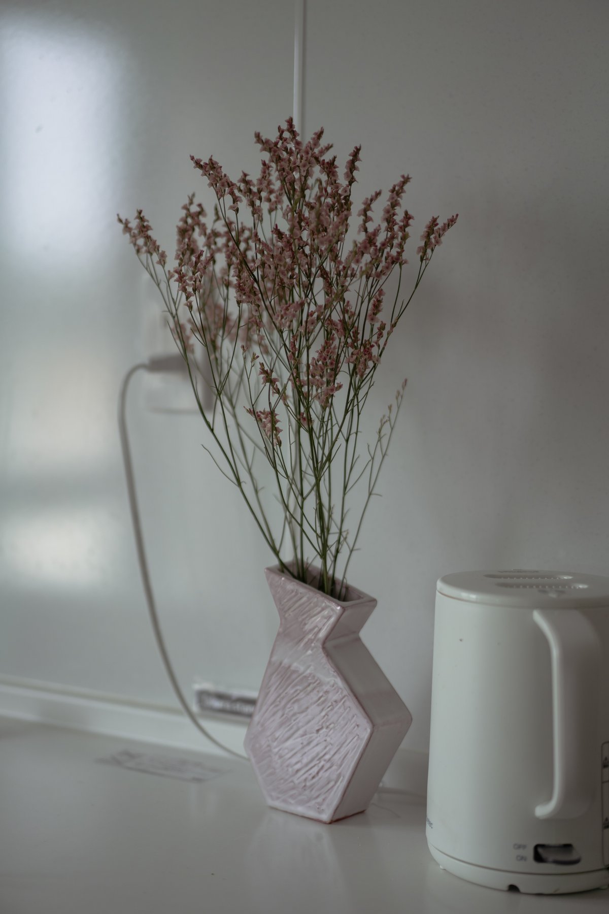 Veronica Android ️Kana Kitty｜manimanium