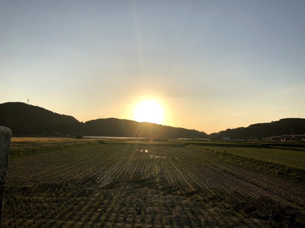 自己紹介｜はじめてのnote｜20代で農家になった理由｜Yuto Mita