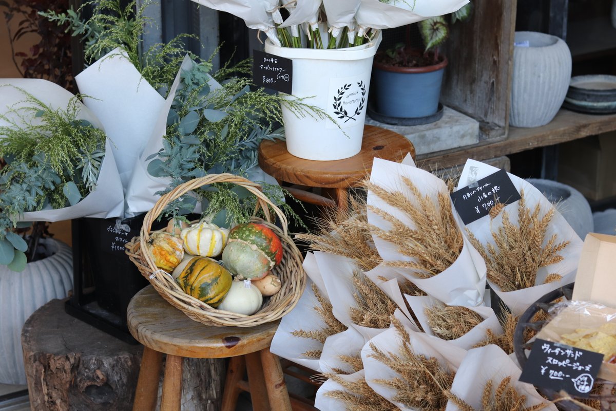 自己紹介｜はじめてのnote｜20代で農家になった理由｜Yuto Mita