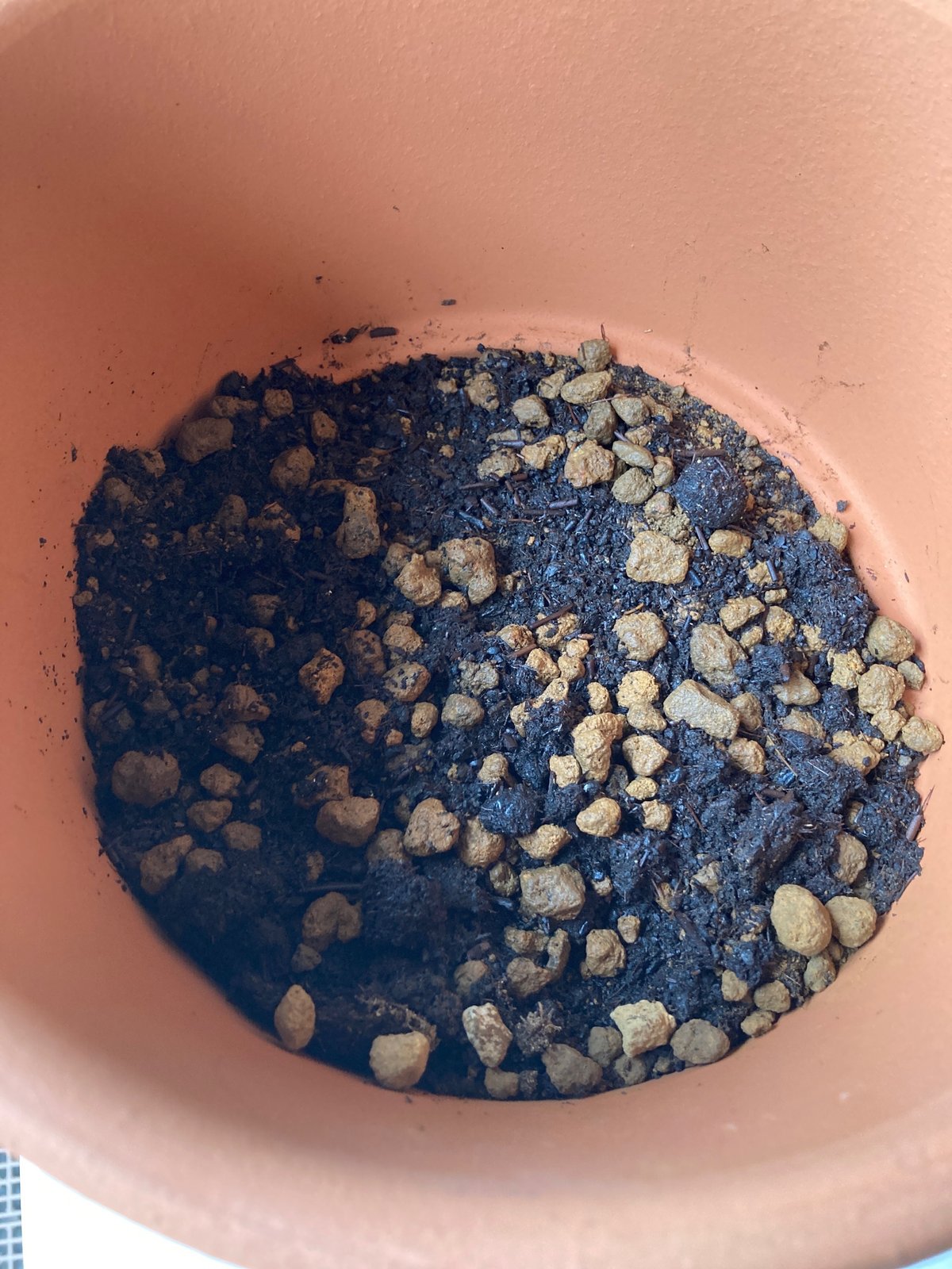 【観察】2025年6月10日（火）｜ATSU NOTE