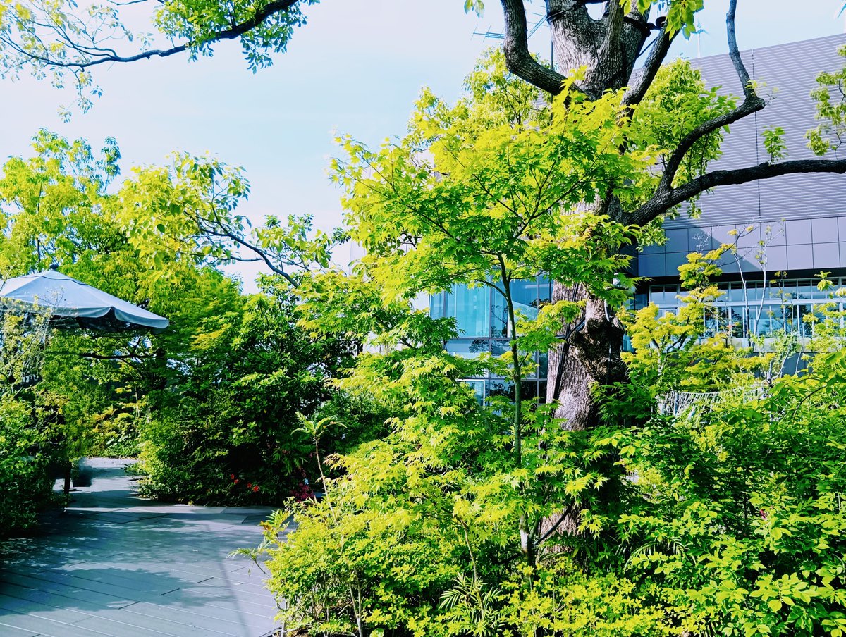 東京ぶらり旅 表参道・原宿｜seya_kinoto