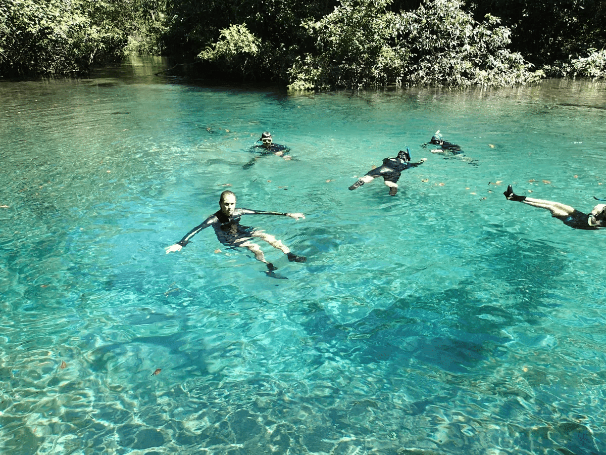 30か国で潜った私的、最高だったダイビングスポットBEST5！（ランキング）｜ぱや | 旅行マニア