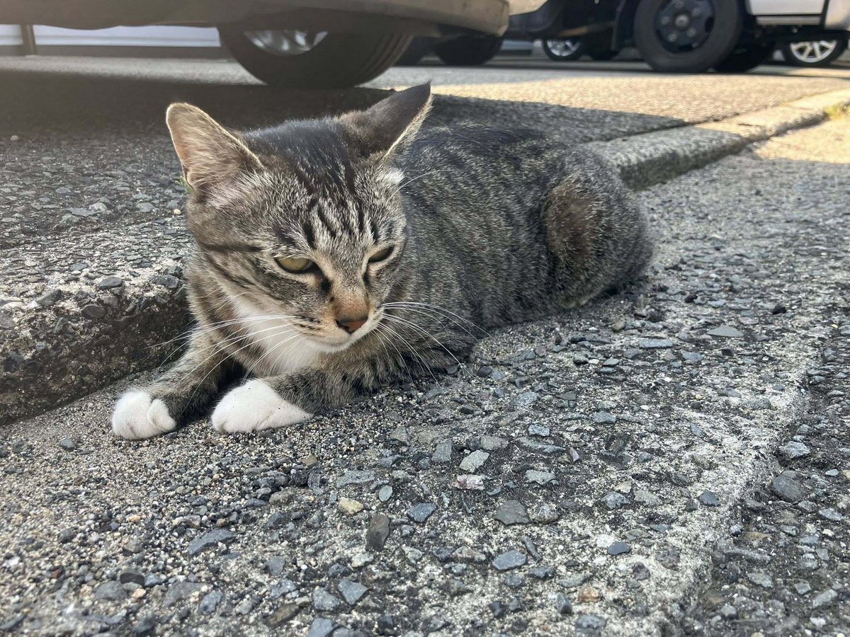 一速ギア、入れ直します。洒落の いま と これから｜ISSOKU GEAR