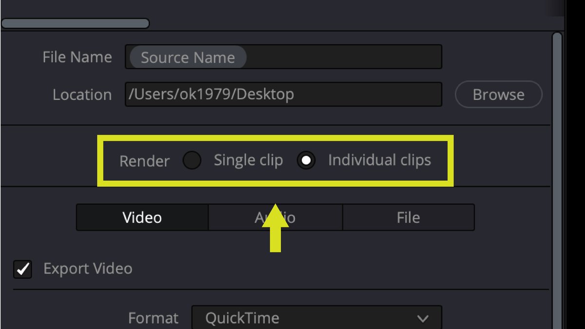タイムラインエフェクトとは？ Render timeline effects の効果を検証する｜UMU TOKYO