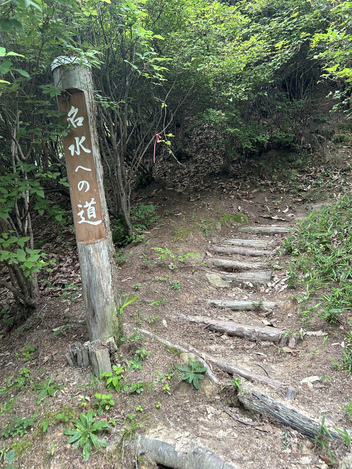 広島南アルプス縦走記｜YUSUKE/40歳でサイドFIRE目標/株式投資/カメラ/登山