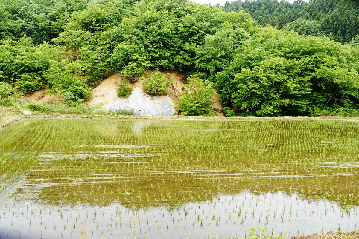 紅く染まる棟沢（さいかちさわ）｜oichan