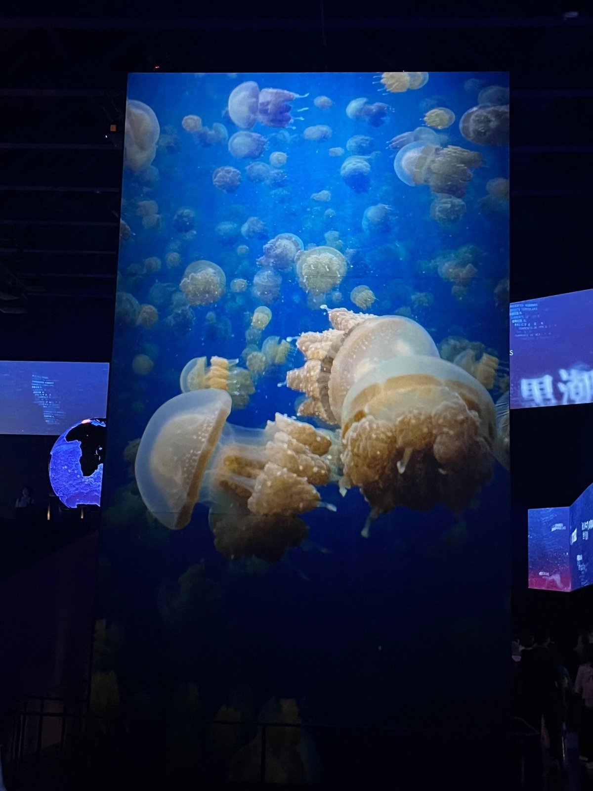 徒然なるリボーン週記（9）未来の生活スタイル ～スマートルーム～｜No/BORdER（MOBIOリボーンチャレンジ）